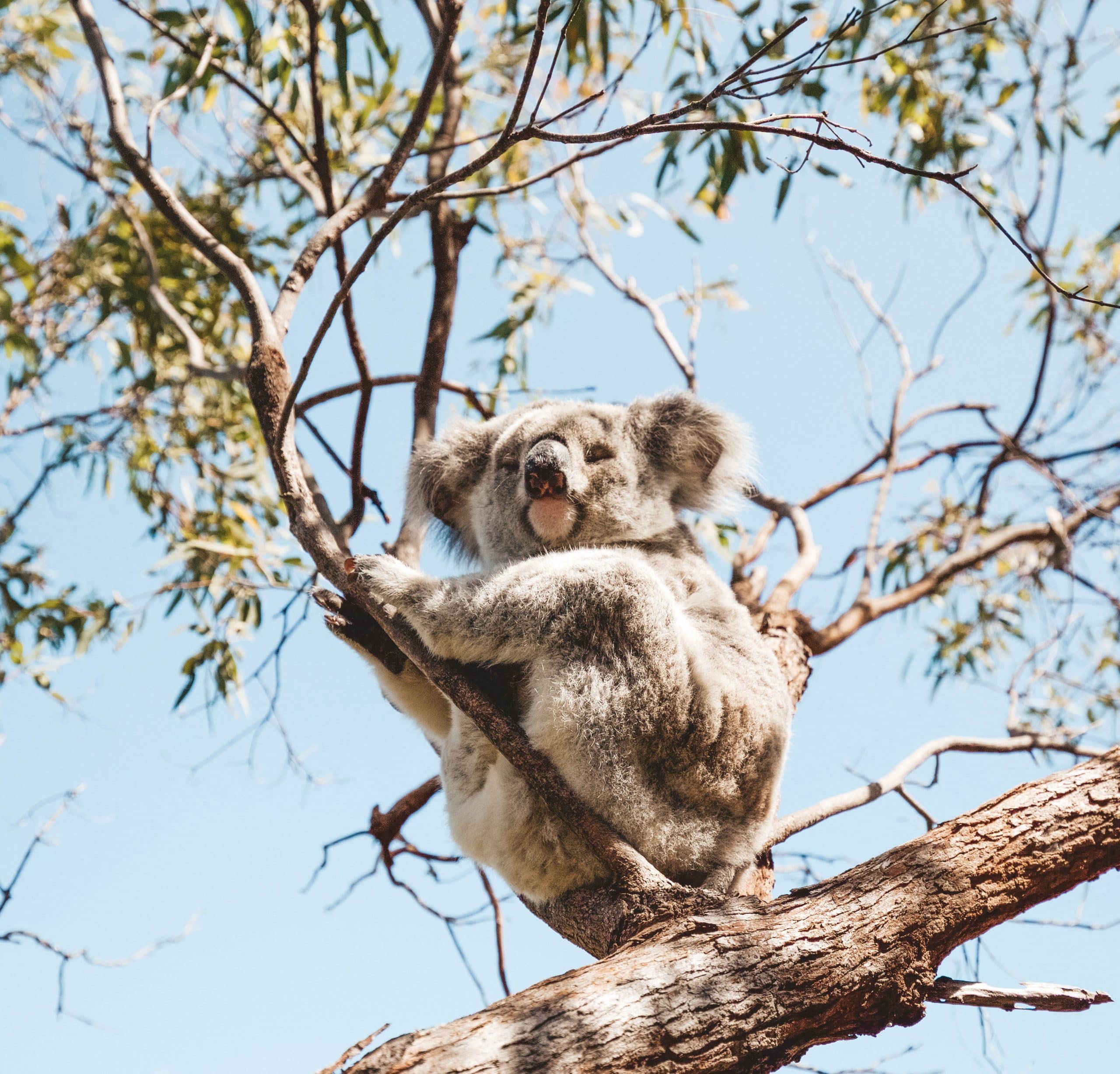 Magnetic Island ~ an endless summer ☼ - Ashley Dobson